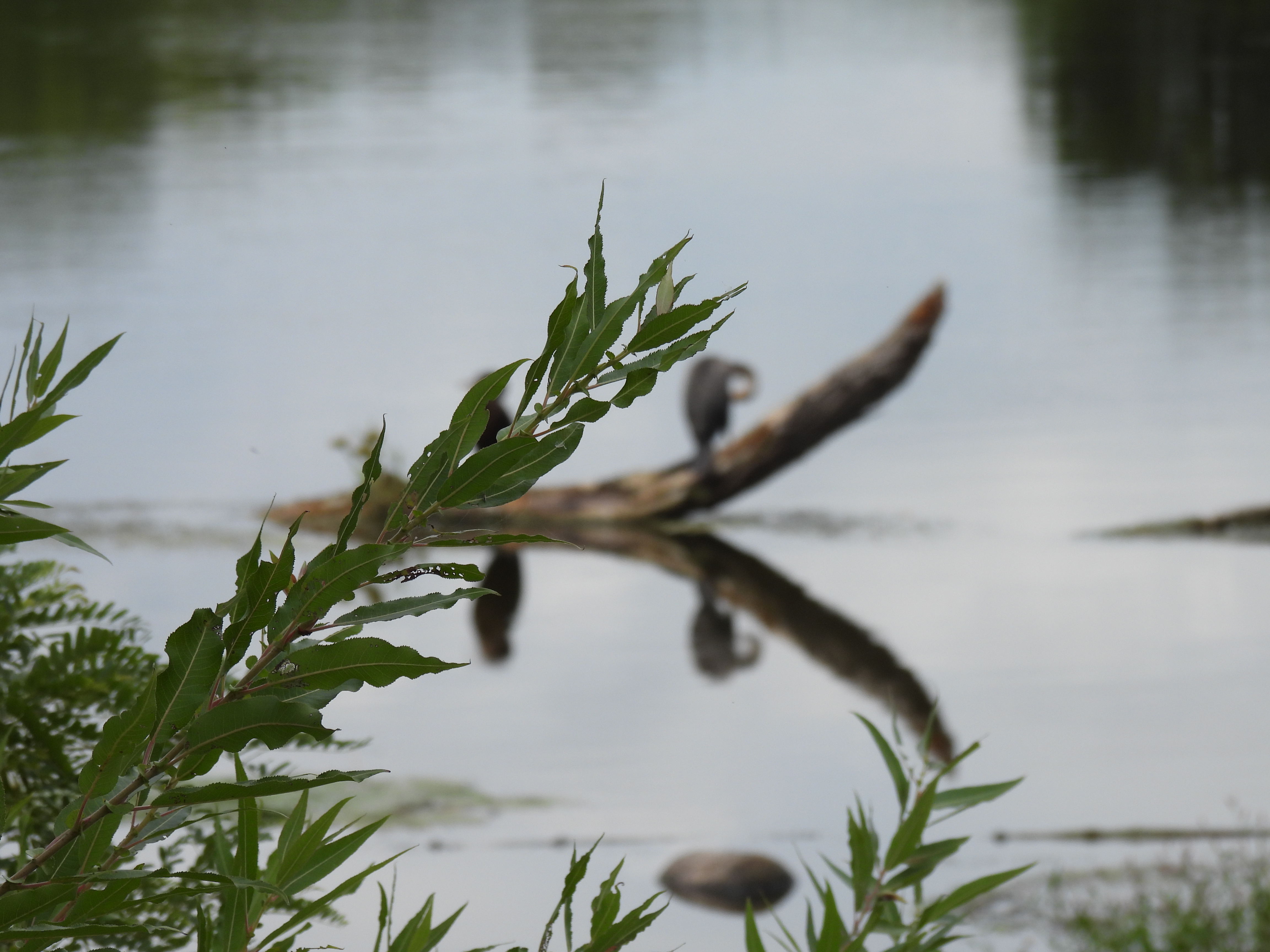 Poem–Nothing is Everything – Midwest Mary
